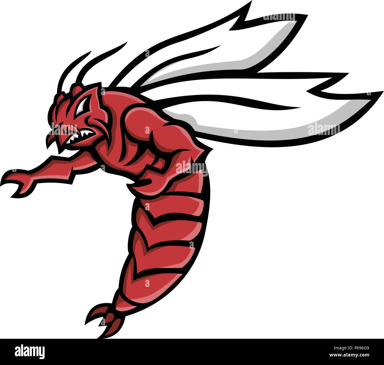 Palmetto bug hi-res stock photography and images - Alamy