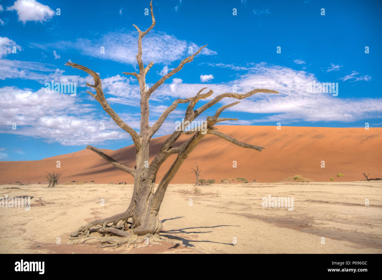 Deadvlei (dead marsh)i, a white clay pan in the Namib-Naukluft Park in ...