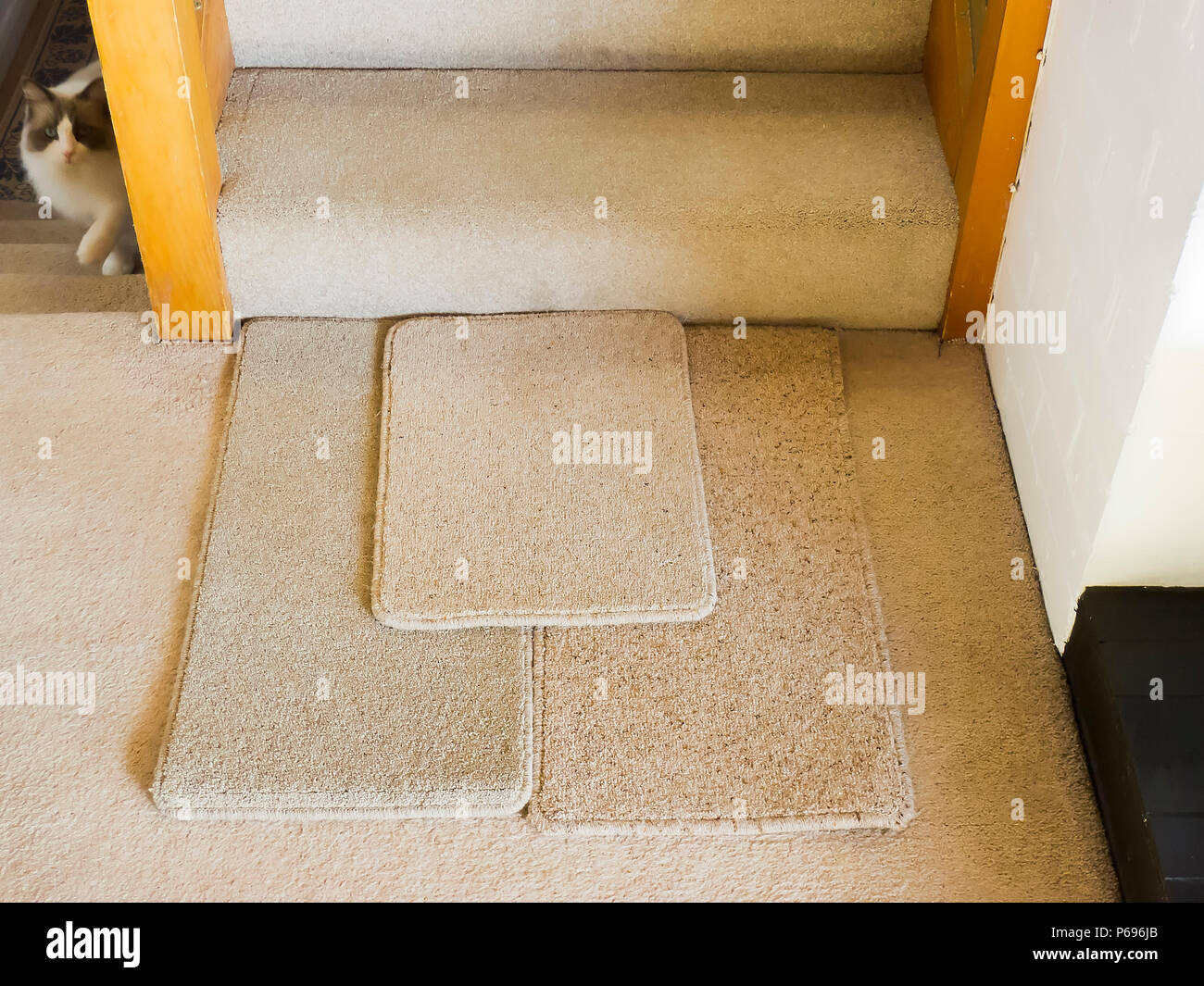 Colour matching carpet samples in an English home Stock Photo - Alamy