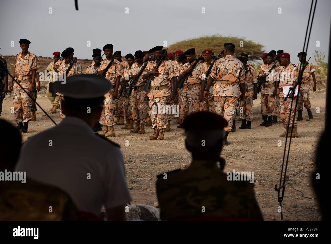 Army regionally aligned forces hi-res stock photography and images - Alamy