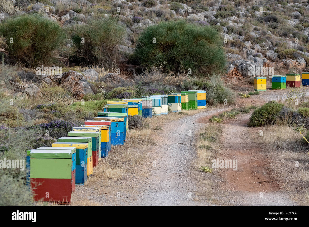 Beside a path hi-res stock photography and images - Alamy