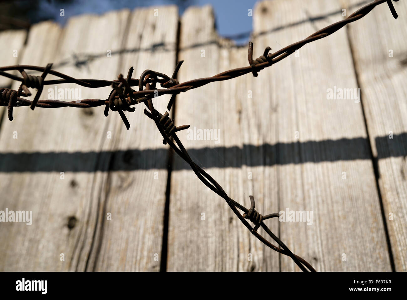 Barbed wire on a fence Stock Photo - Alamy