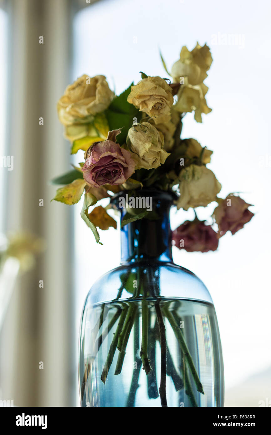 Bouquet of withered roses in glass vase yellow and pink Stock Photo - Alamy