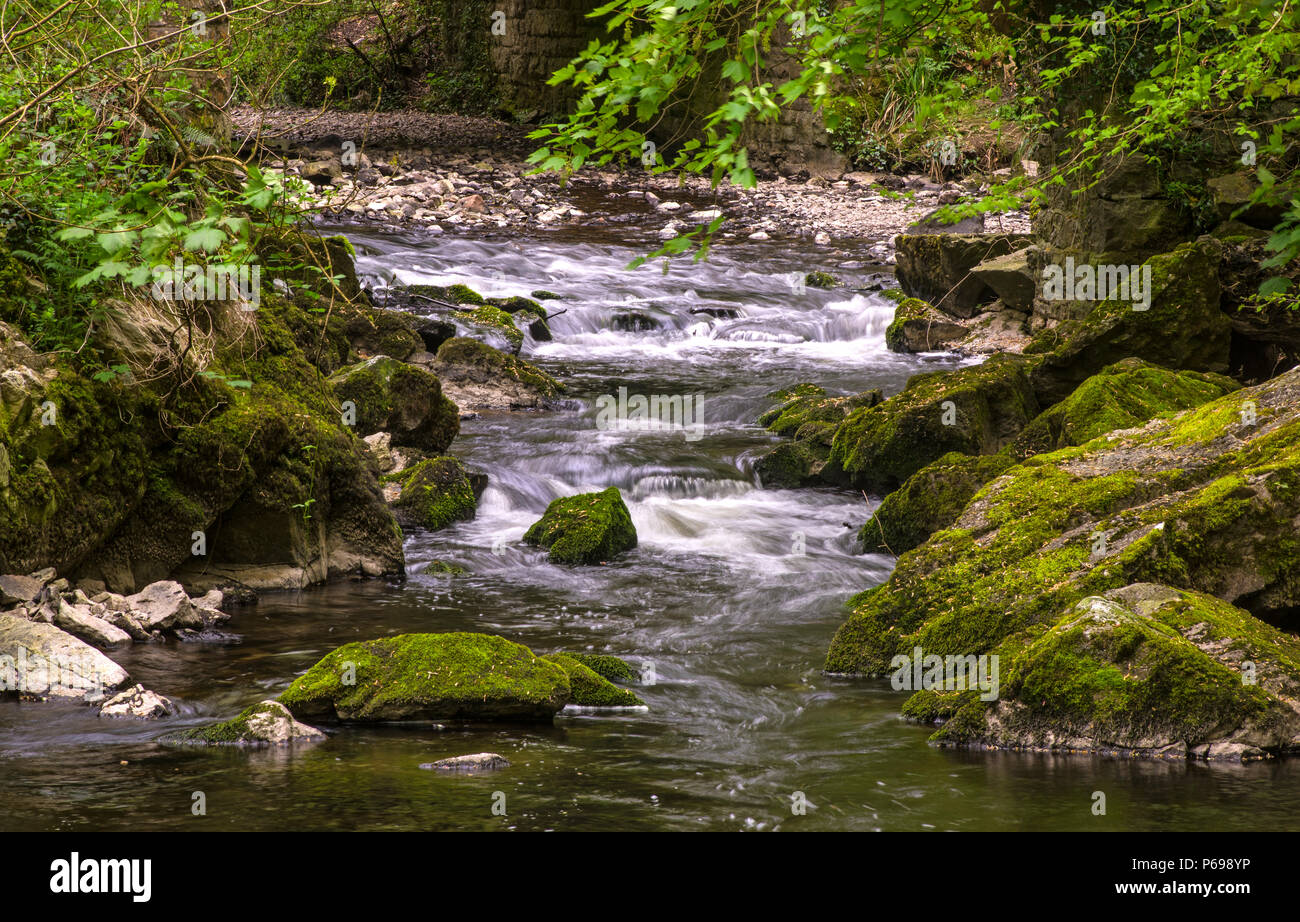 Nant y pandy hi-res stock photography and images - Alamy