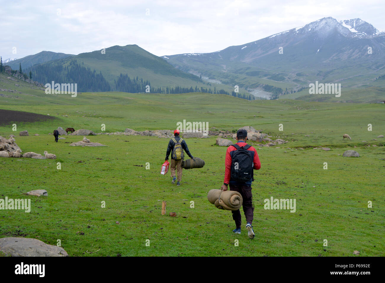 Tosa maidan hi-res stock photography and images - Alamy