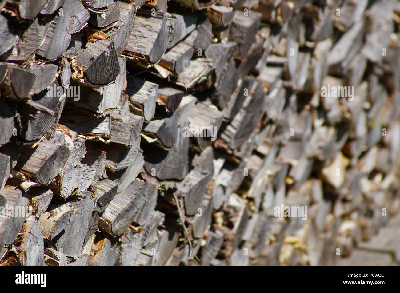 Stack and stump hi-res stock photography and images - Alamy