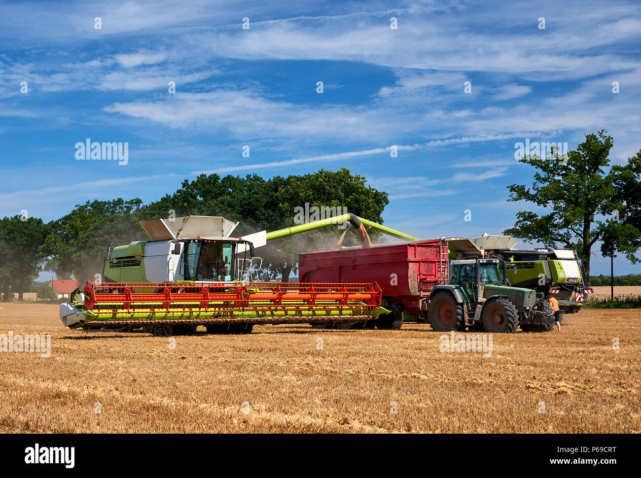two harvester unloading corn on tractor Stock Photo - Alamy