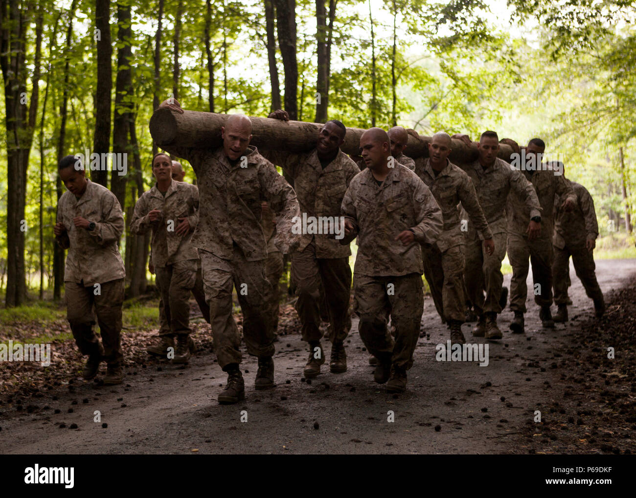U.S. Marines assigned to Officer Candidate School participate in the ...