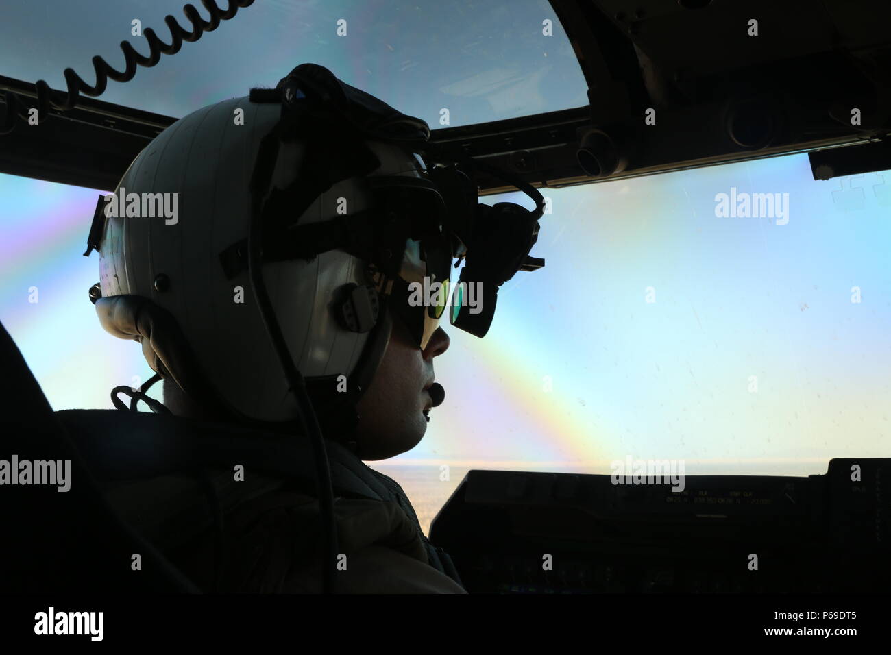 Purple foxes hi-res stock photography and images - Alamy