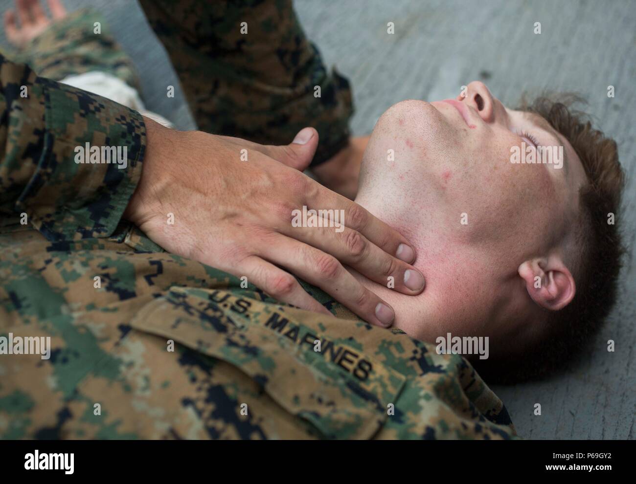 U.S. Marine Lance Cpl. Christopher M. Gibson, with Task Force Koa Moana ...