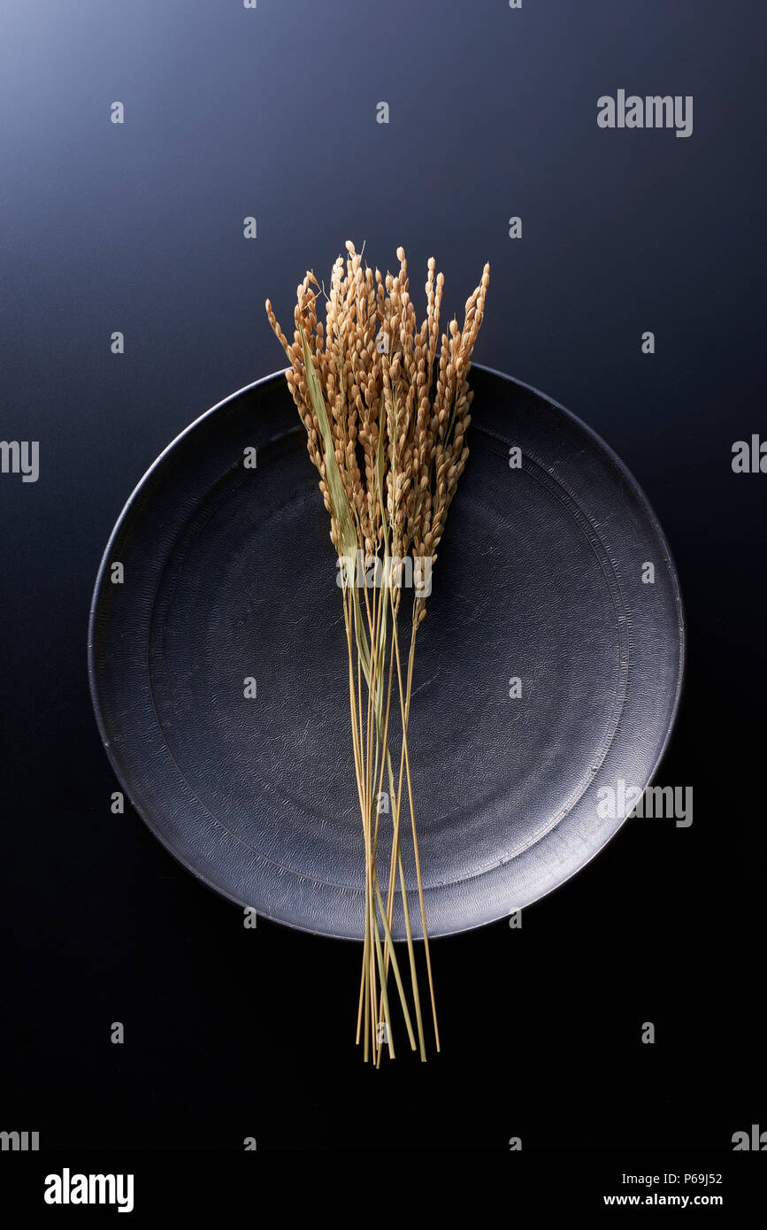 Japanese style cutlery Stock Photo - Alamy