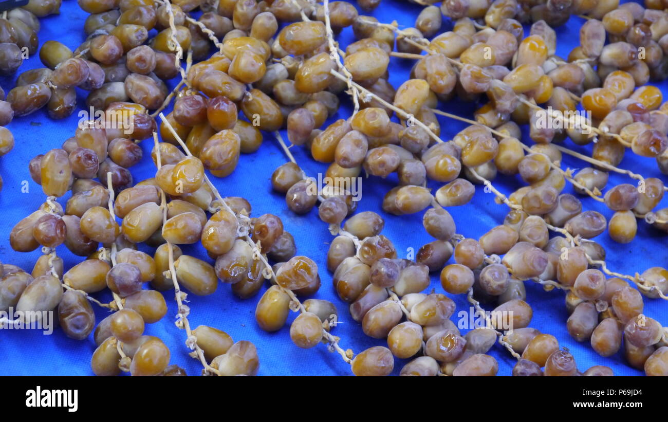Fresh dates from a palm in Turkey Stock Photo - Alamy