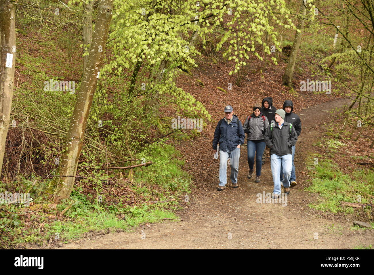 Battle of the huertgen forest hi-res stock photography and images - Alamy