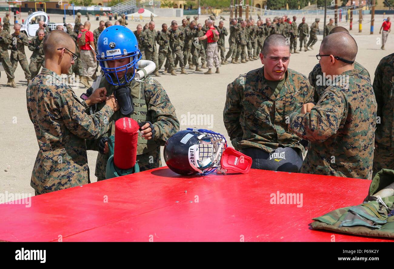 Groin region hi-res stock photography and images - Alamy