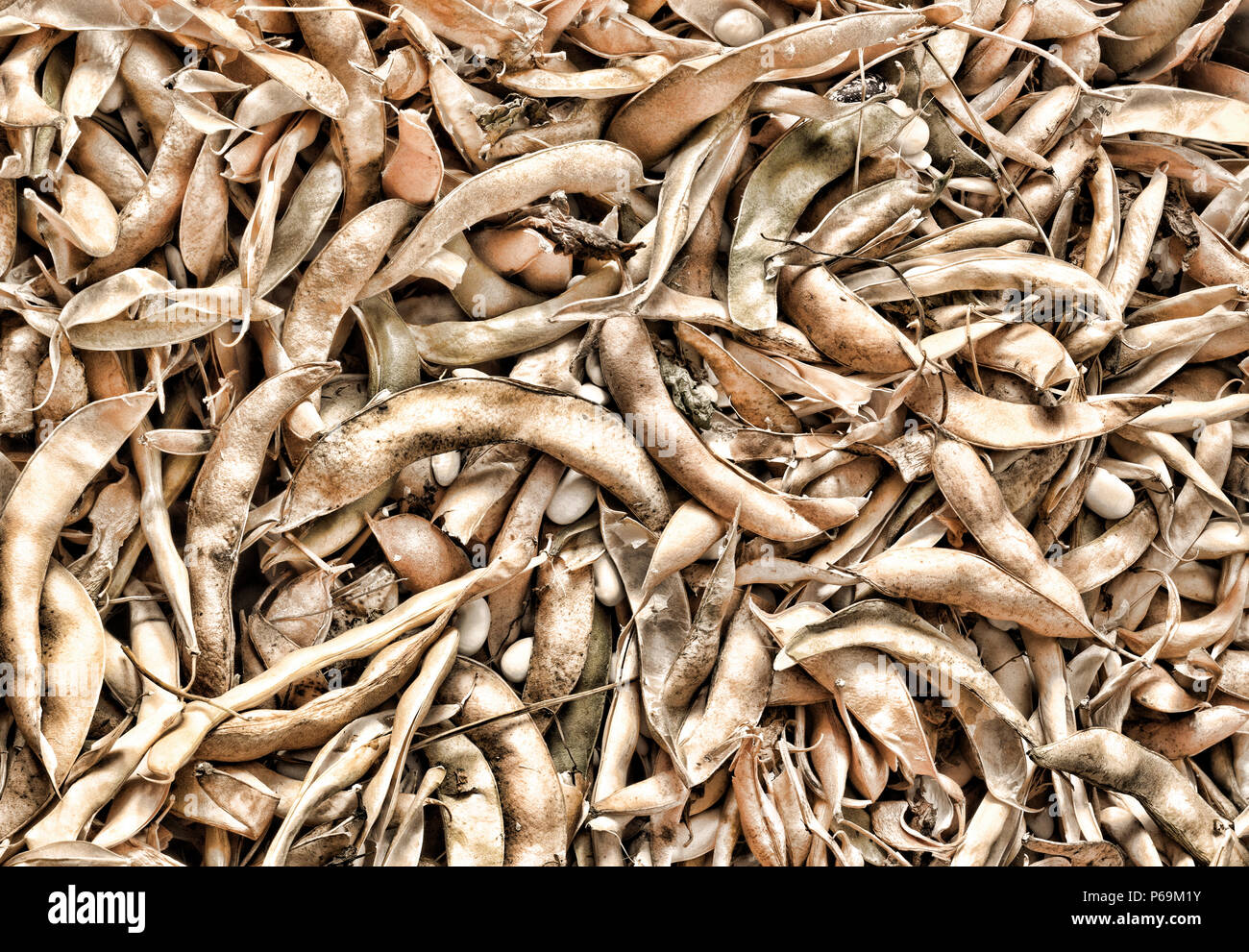 dry beans texture, healthy food Stock Photo - Alamy