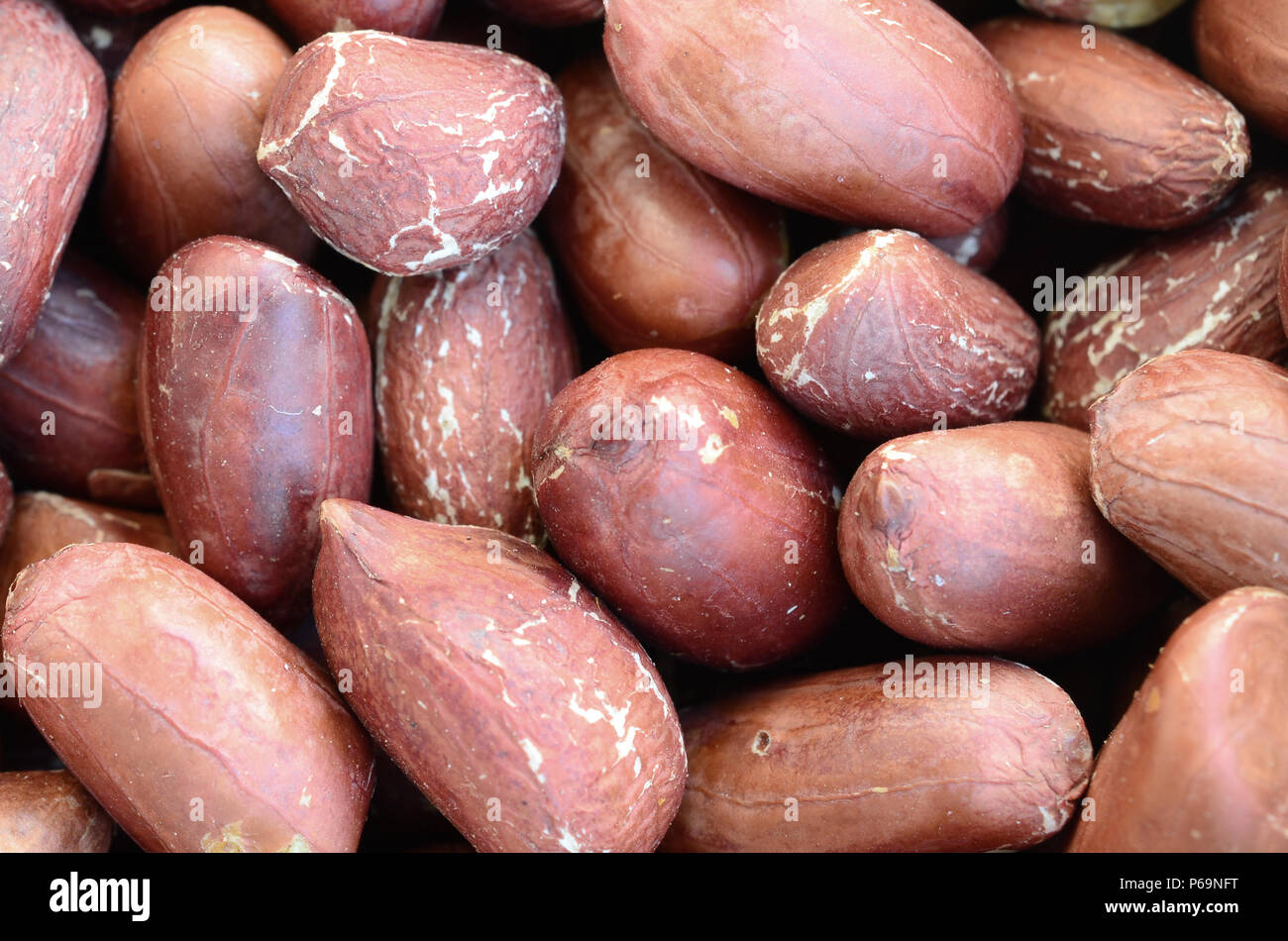 Peanut. A lot of small yellow nuts with brown peel. Background texture ...