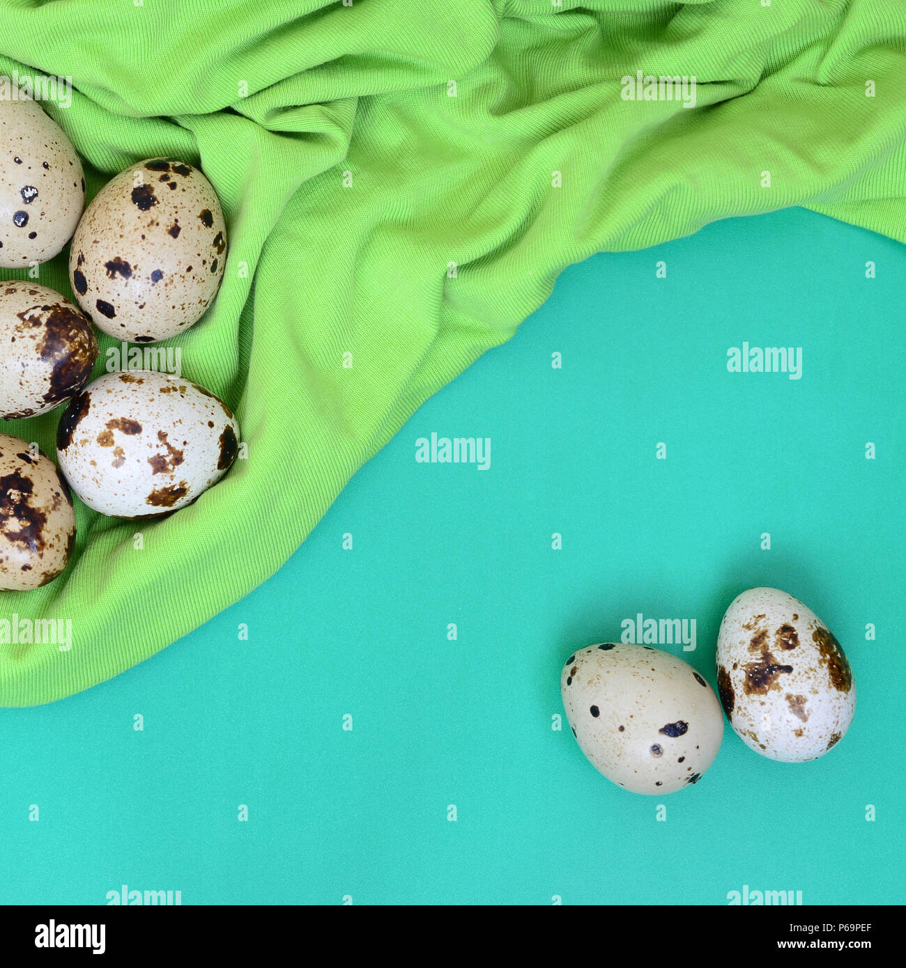 Quail eggs on a light green surface, top view, empty place for text ...