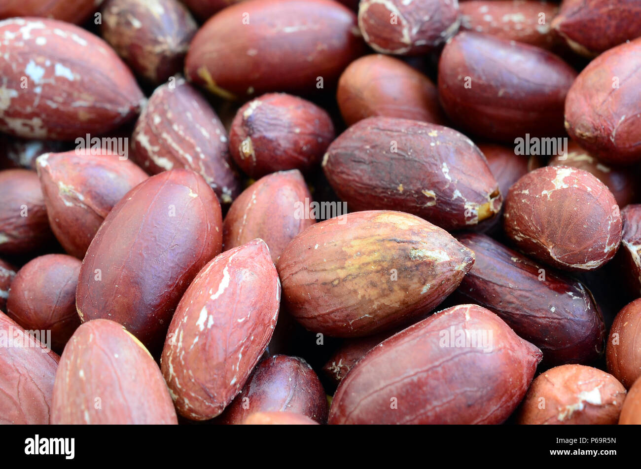 Peanut. A lot of small yellow nuts with brown peel. Background texture ...