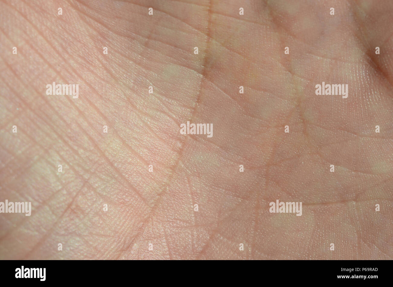 Close up of human hand skin with visible skin texture and lines Stock ...