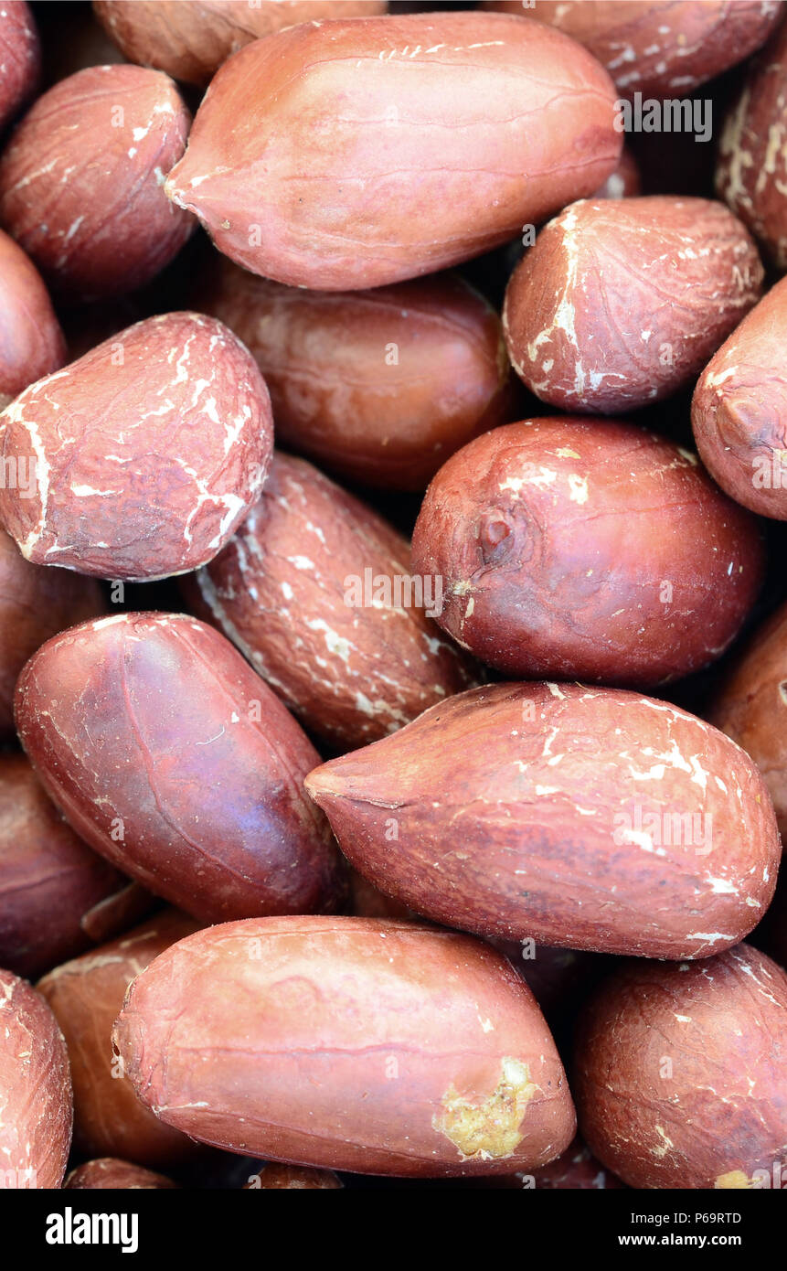 Peanut. A lot of small yellow nuts with brown peel. Background texture ...