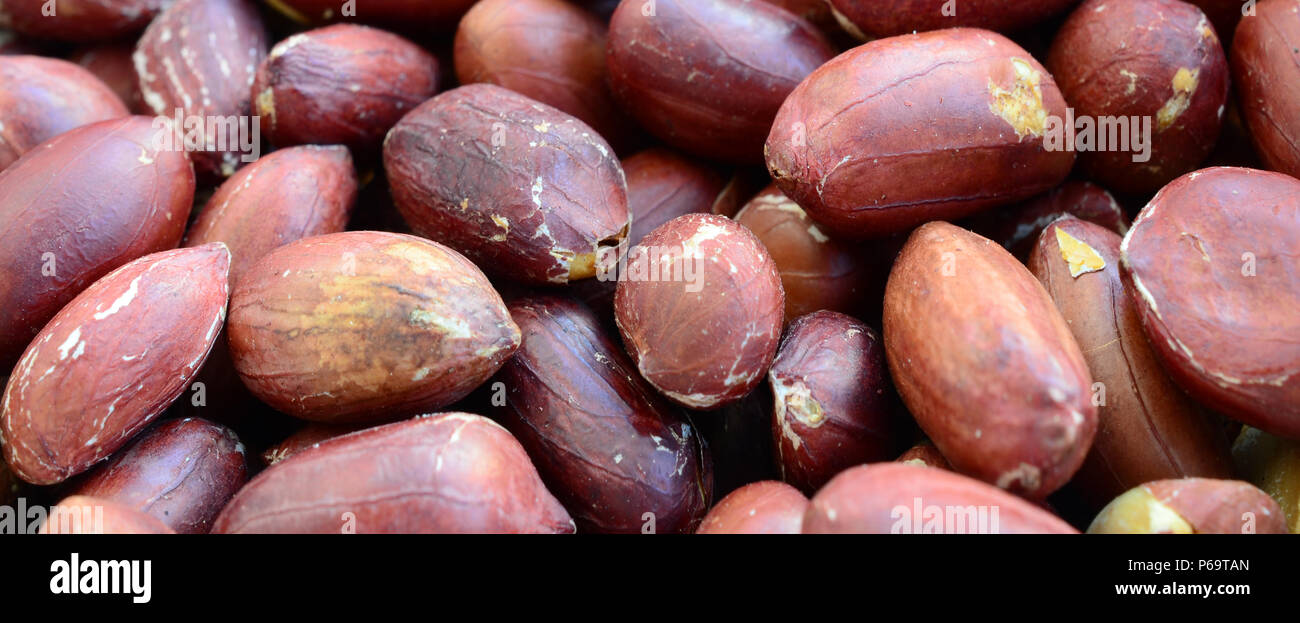 Peanut. A lot of small yellow nuts with brown peel. Background texture ...