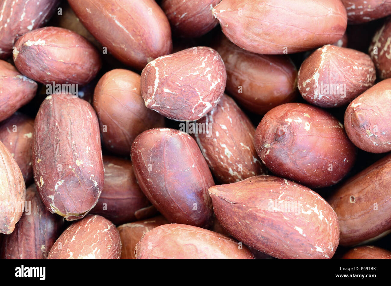 Peanut. A lot of small yellow nuts with brown peel. Background texture ...