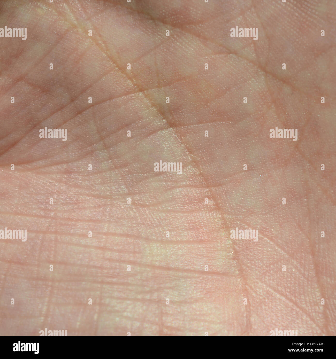 Close up of human hand skin with visible skin texture and lines Stock ...