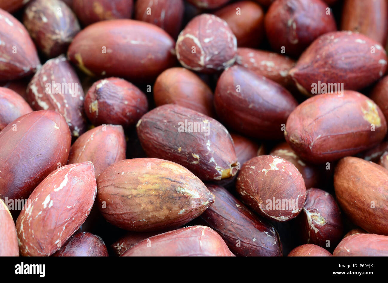 Peanut. A lot of small yellow nuts with brown peel. Background texture ...