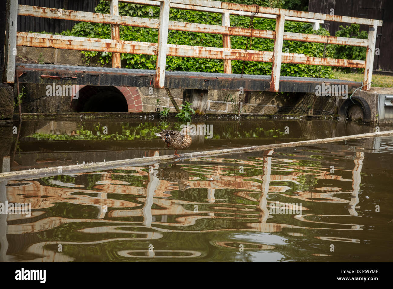 Rusty railings hi-res stock photography and images - Alamy
