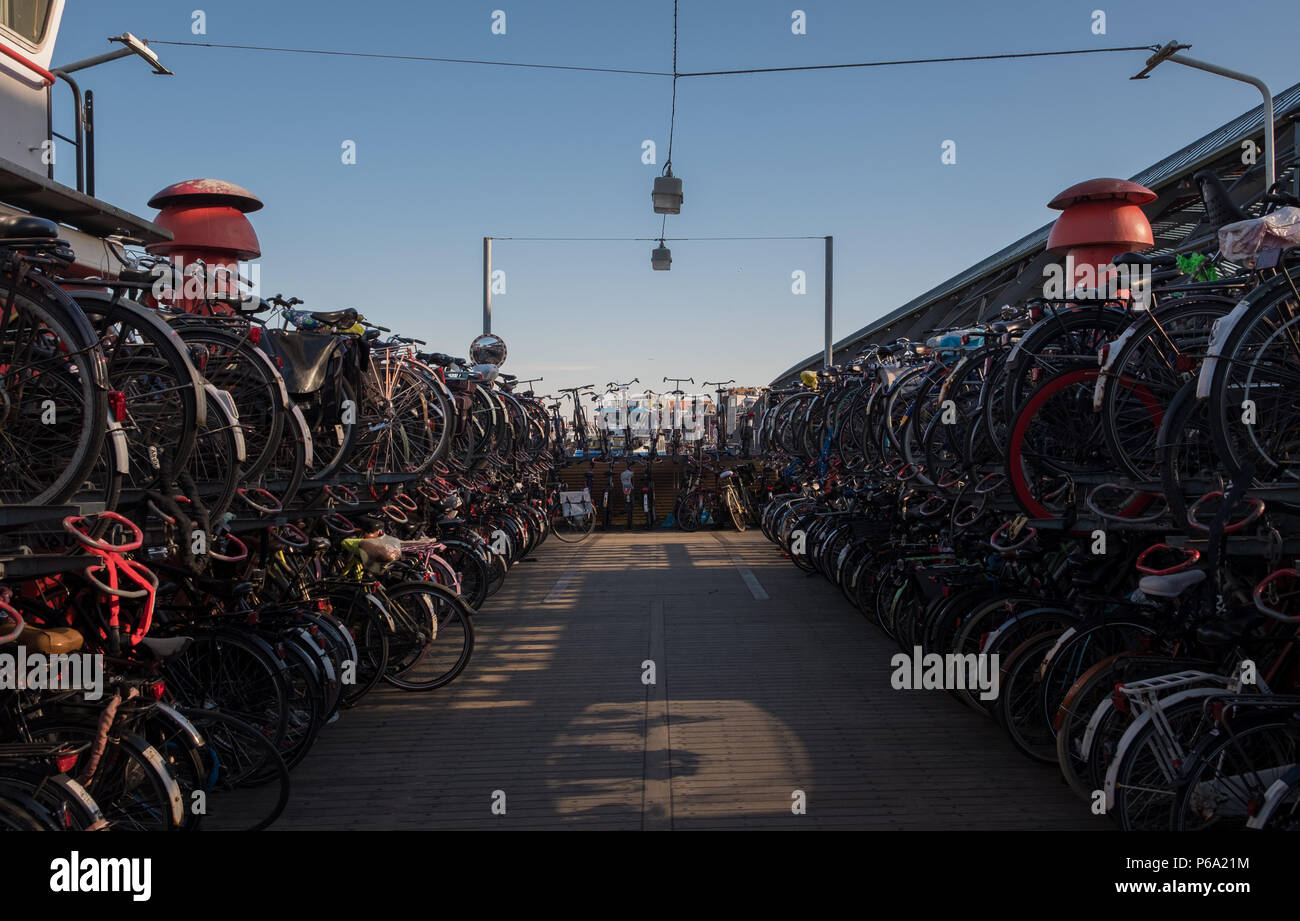 Bicycles parked on a ship near Amsterdam Central Station Stock Photo ...