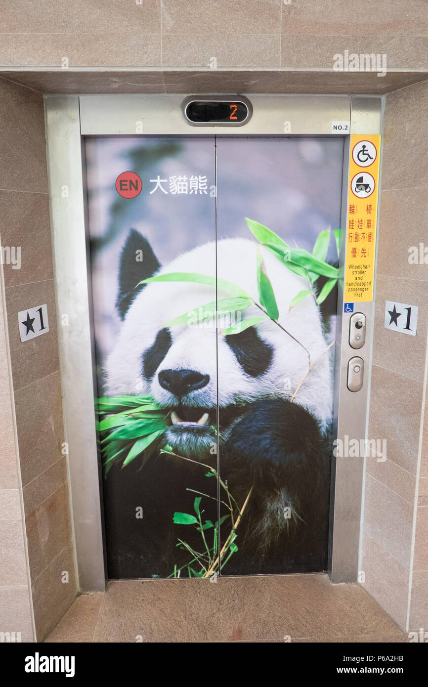Giant Panda,Taipei Zoo,zoo,animal,animals,Taipei,Taipei City,Taiwan ...
