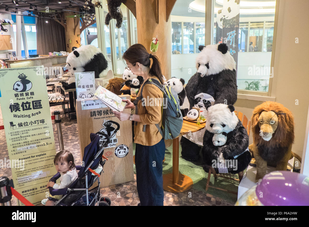 Giant Panda,Taipei Zoo,zoo,animal,animals,Taipei,Taipei City,Taiwan ...