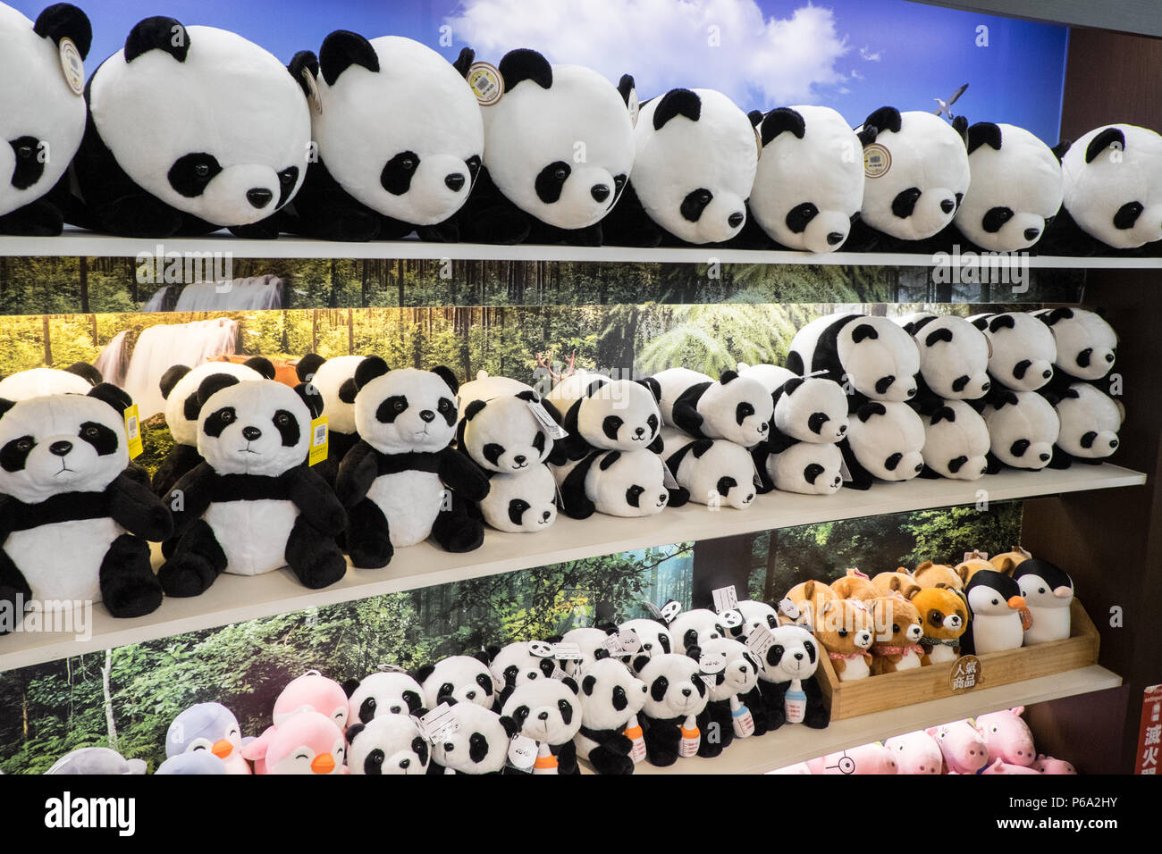 Giant Panda,Taipei Zoo,zoo,animal,animals,Taipei,Taipei City,Taiwan ...