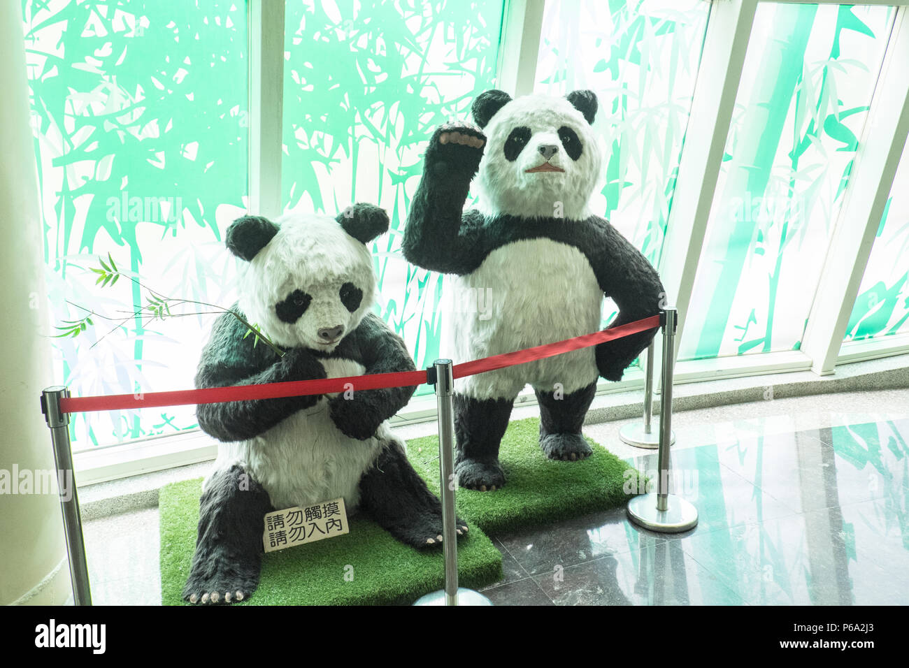 Giant Panda,Taipei Zoo,zoo,animal,animals,Taipei,Taipei City,Taiwan ...