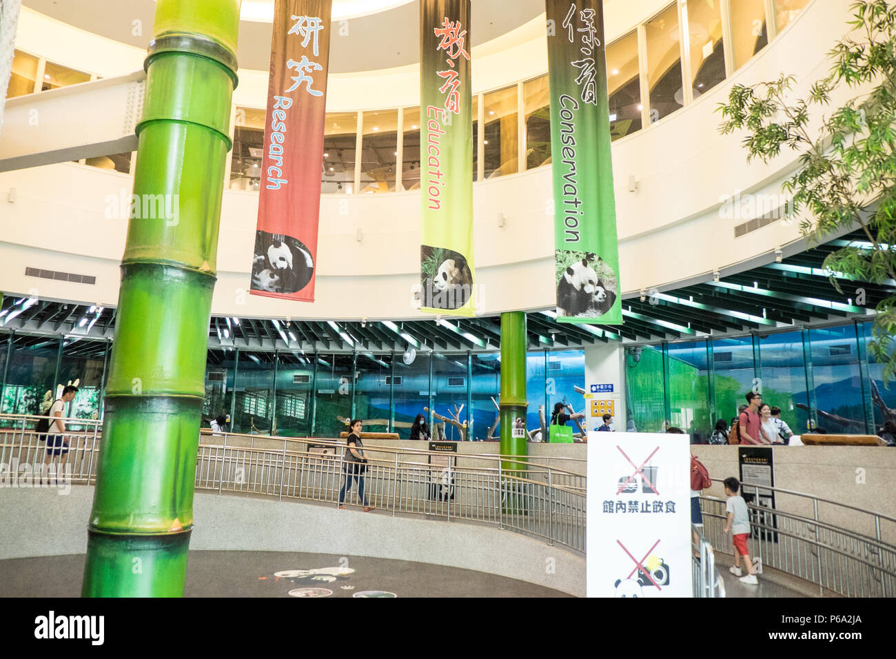 Giant Panda,Taipei Zoo,zoo,animal,animals,Taipei,Taipei City,Taiwan ...