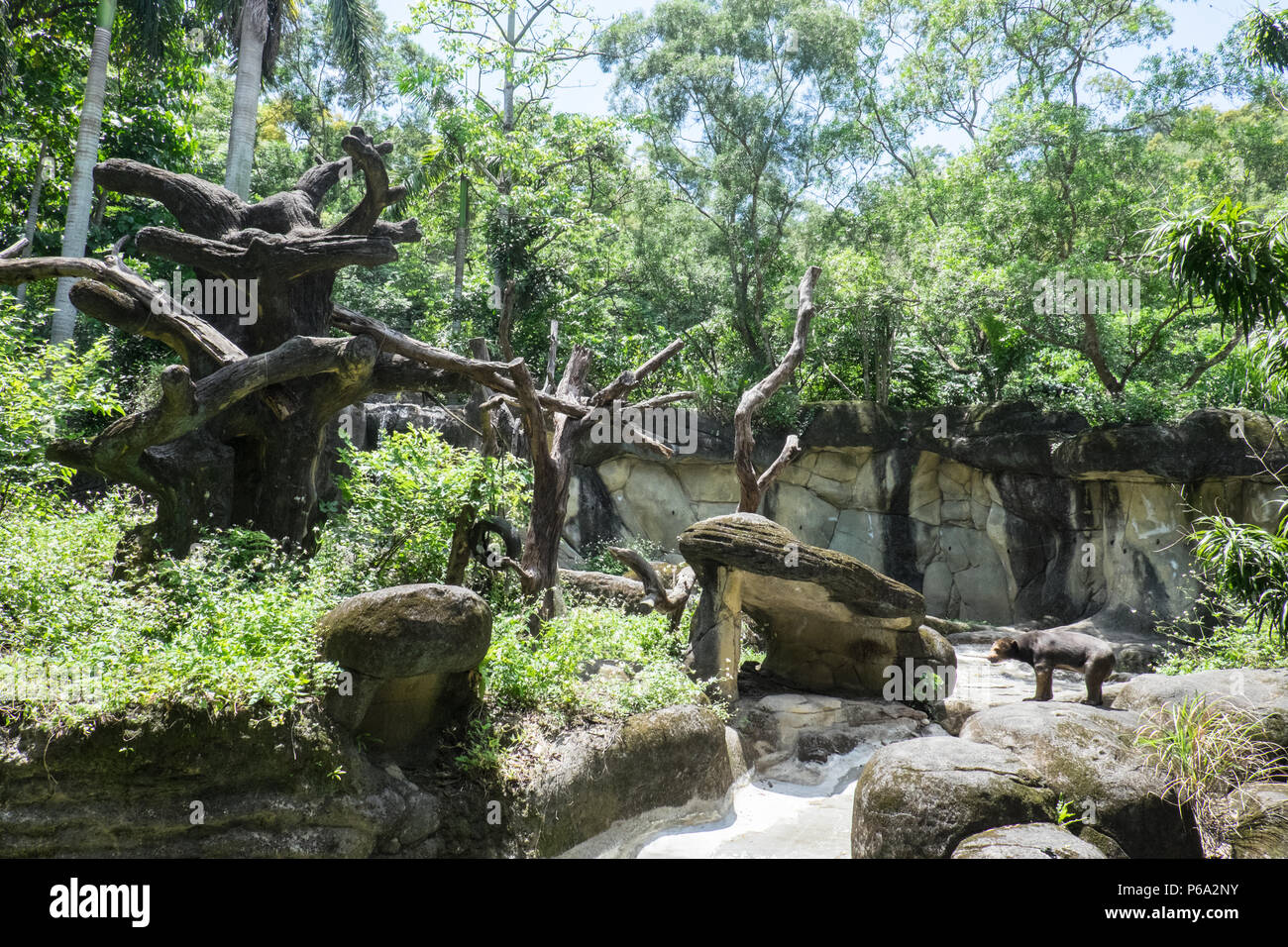 Taipei Zoo,zoo,animal,animals,Taipei,Taipei City,Taiwan,city,island ...