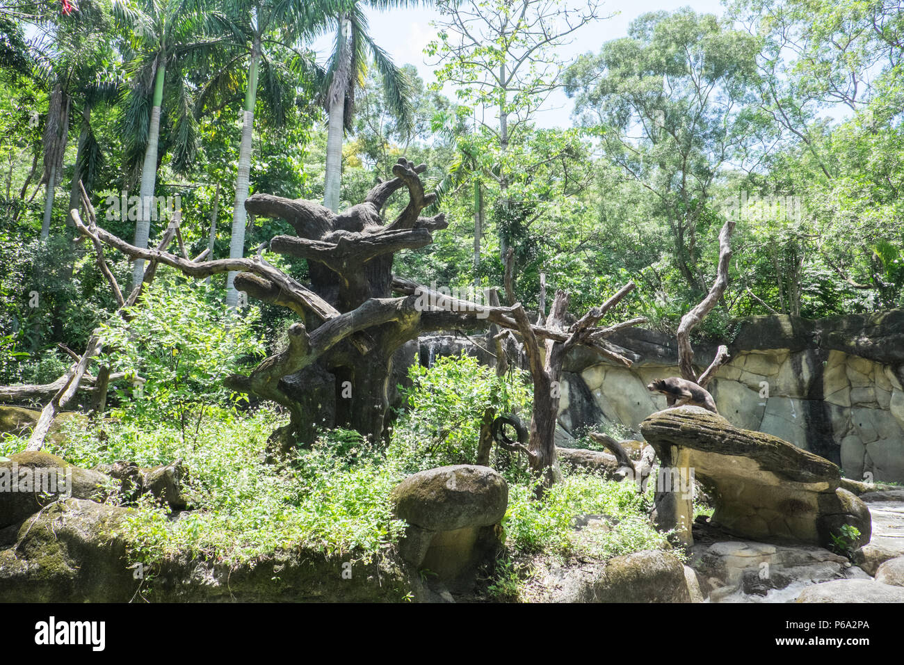 Taipei Zoo,zoo,animal,animals,Taipei,Taipei City,Taiwan,city,island ...