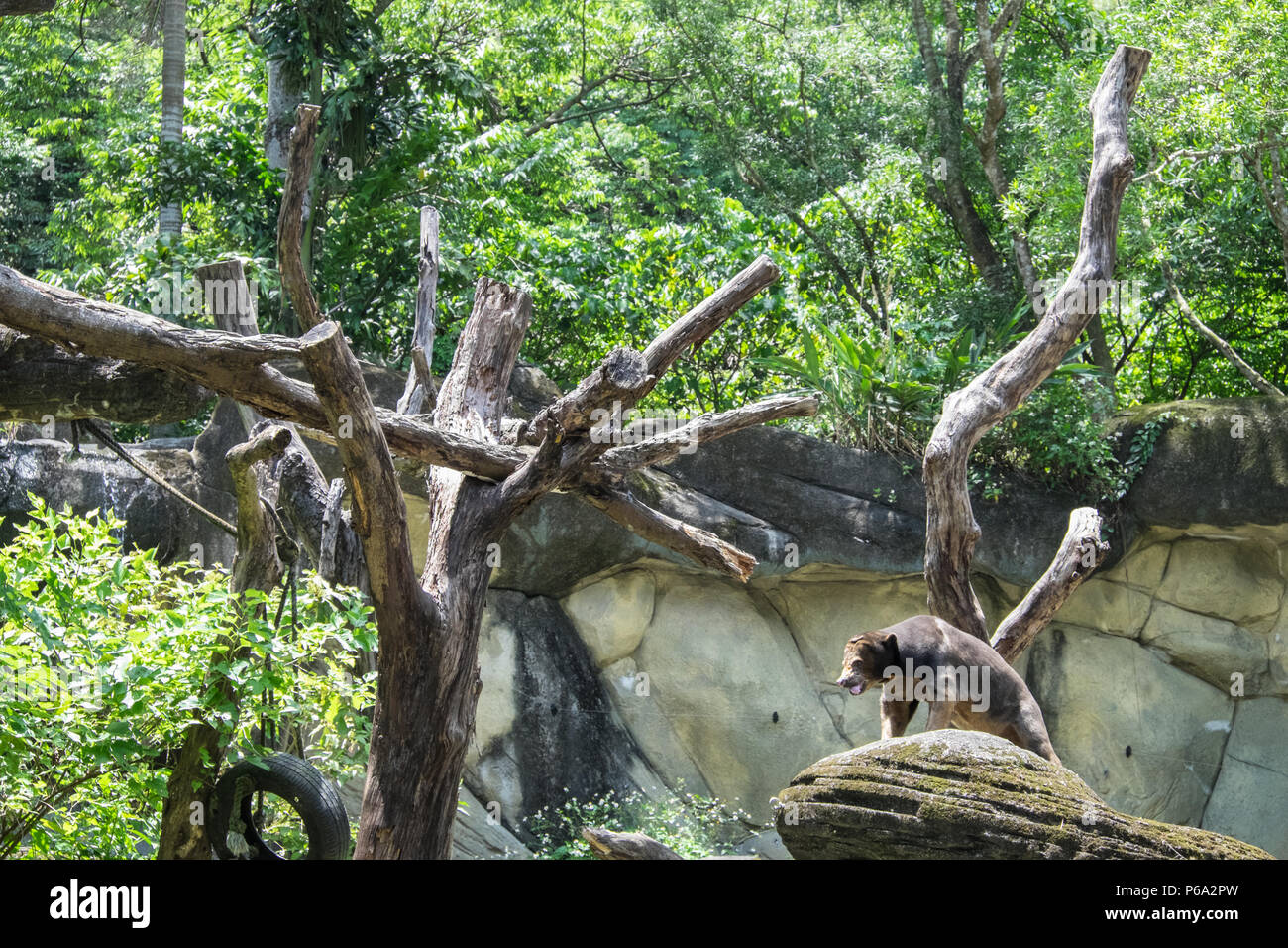 Taipei Zoo,zoo,animal,animals,Taipei,Taipei City,Taiwan,city,island ...