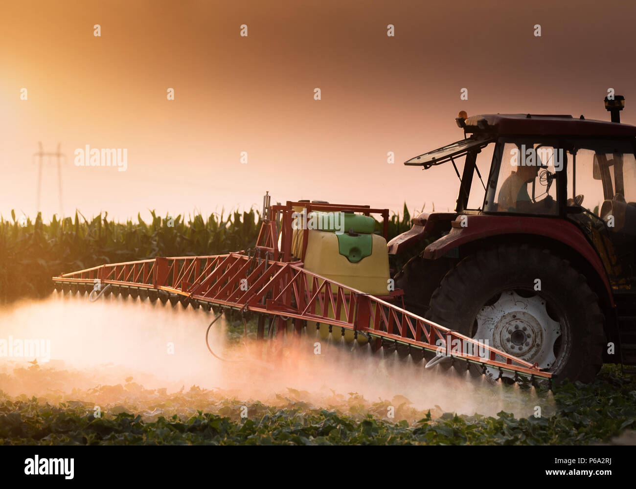 Tractor spraying pesticides on vegetable field with sprayer at spring ...