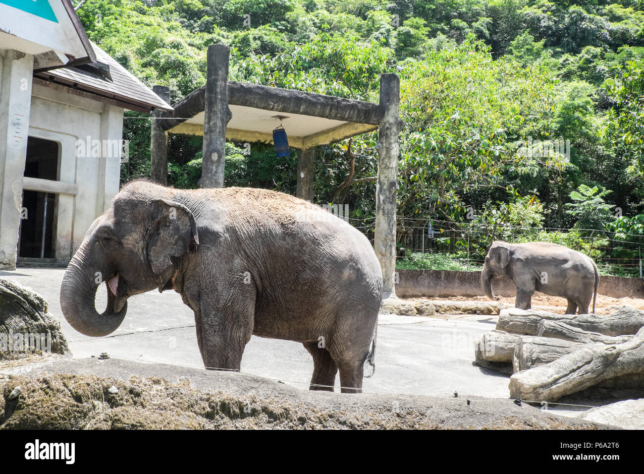 Taipei Zoo,zoo,animal,animals,Taipei,Taipei City,Taiwan,city,island ...