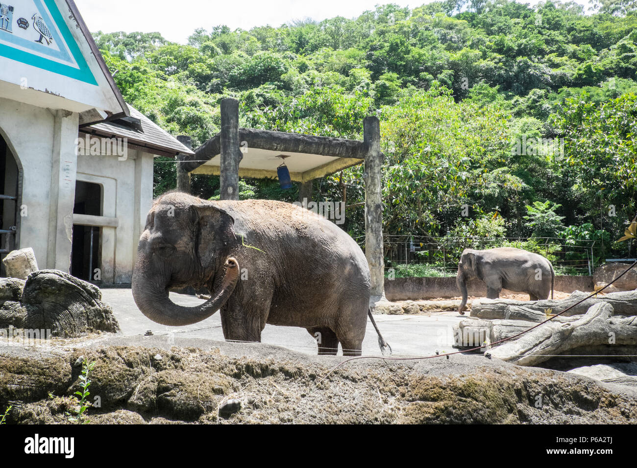 Taipei Zoo,zoo,animal,animals,Taipei,Taipei City,Taiwan,city,island ...