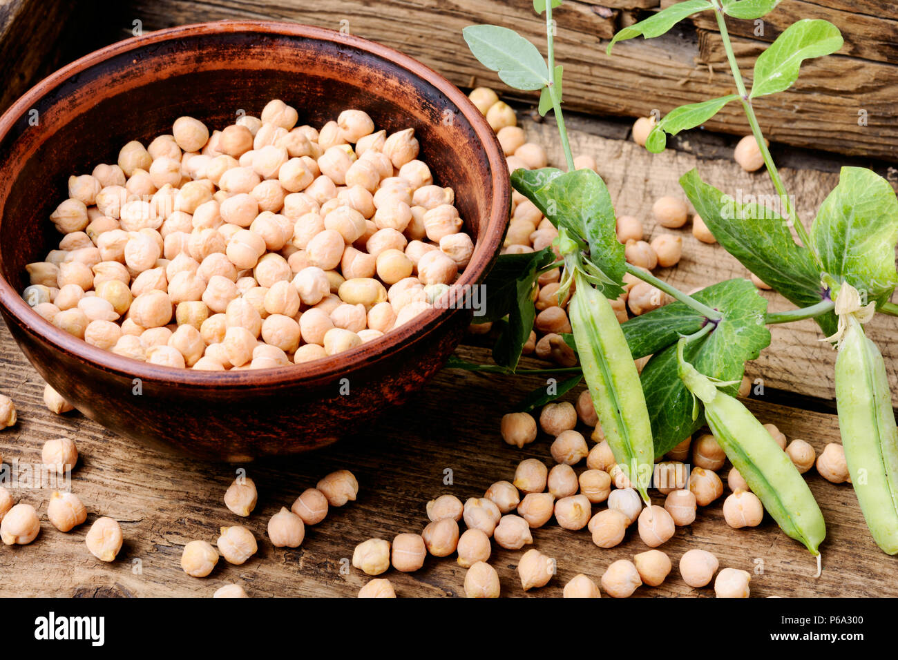 Chickpea-for cooking traditional dishes of Middle Eastern cuisines ...