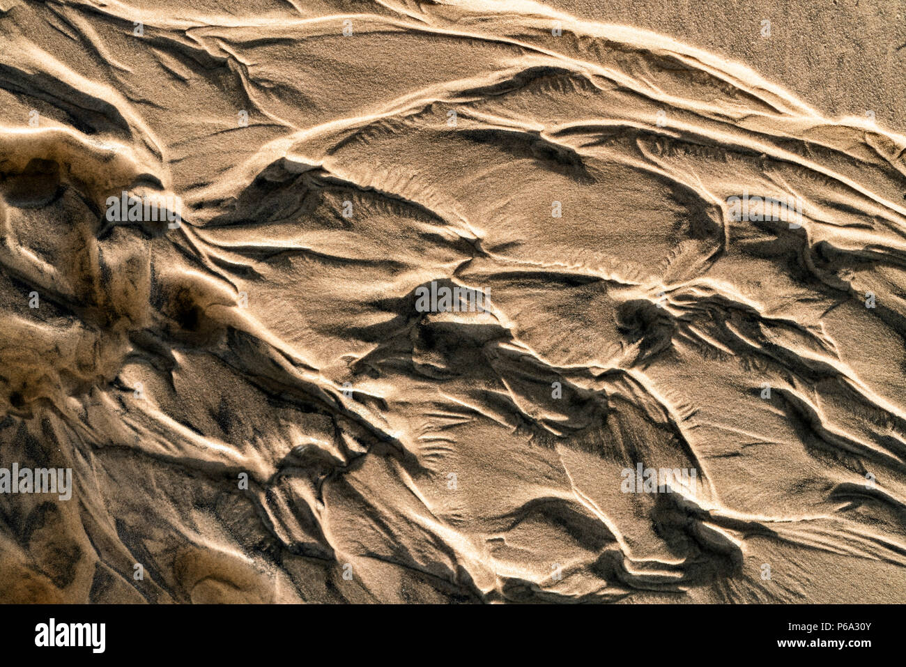 Beautiful organic patterns in the sand Stock Photo - Alamy