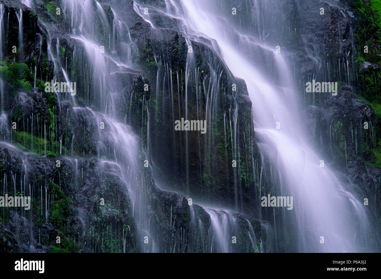 Tillamook state forest wilson river hi-res stock photography and images ...