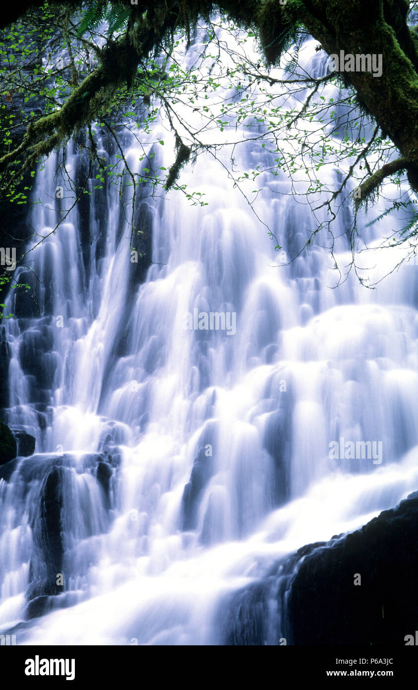 Green Peak Falls, Alsea Falls Bureau of Land Management Recreation Site ...