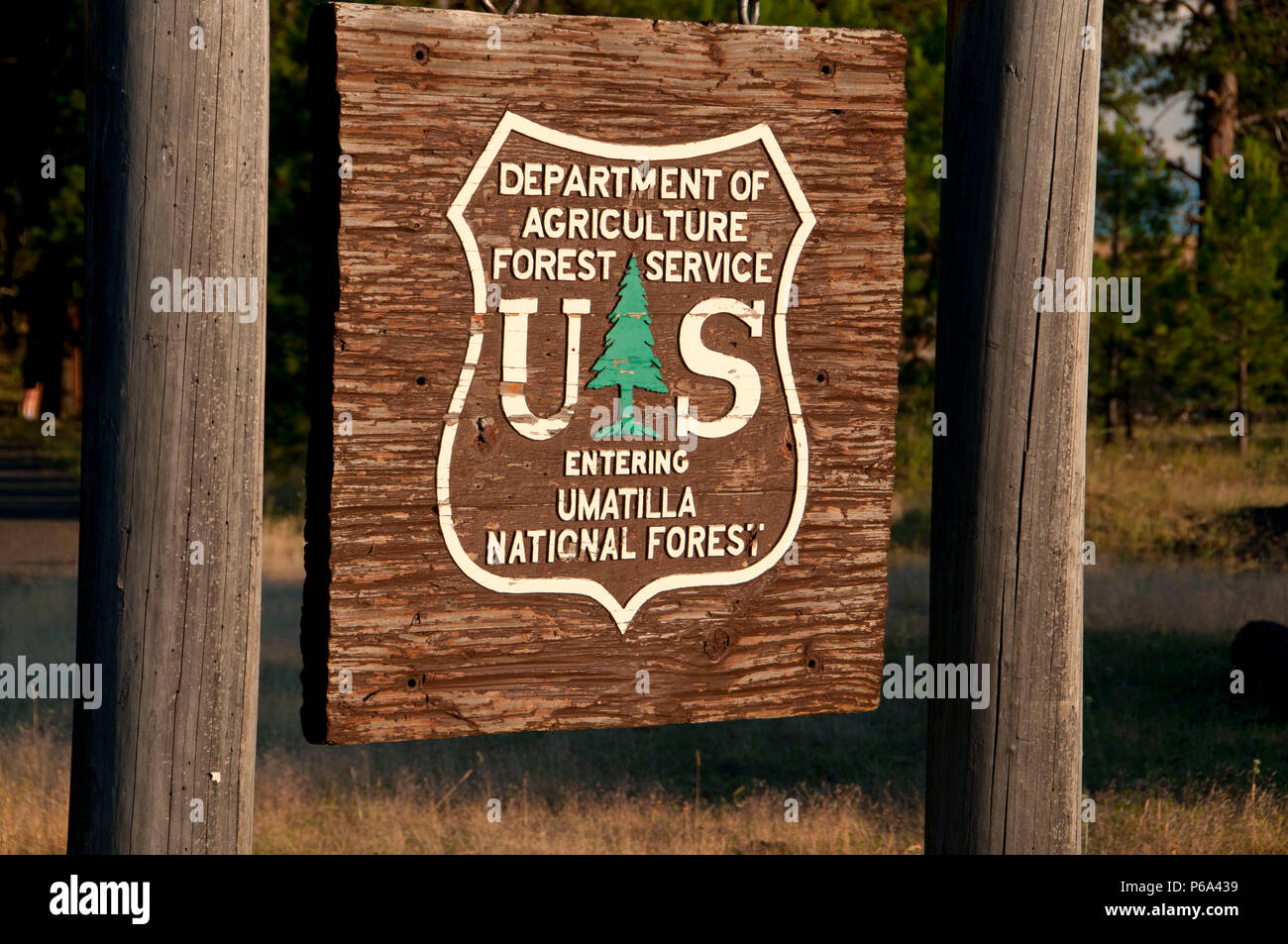 Forest sign, Umatilla National Forest, Oregon Stock Photo - Alamy