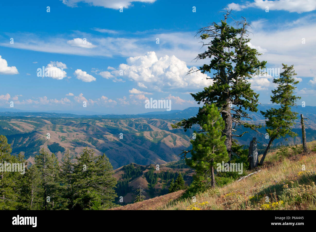 Hells Canyon from Hells Canyon Overlook, Hells Canyon National ... Hells Canyon from Hells Canyon Overlook, Hells Canyon National ...