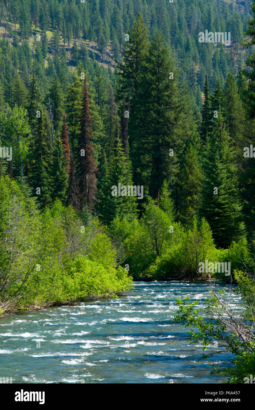 Imnaha Wild and Scenic River along Imnaha River Trail, Hells Canyon ...