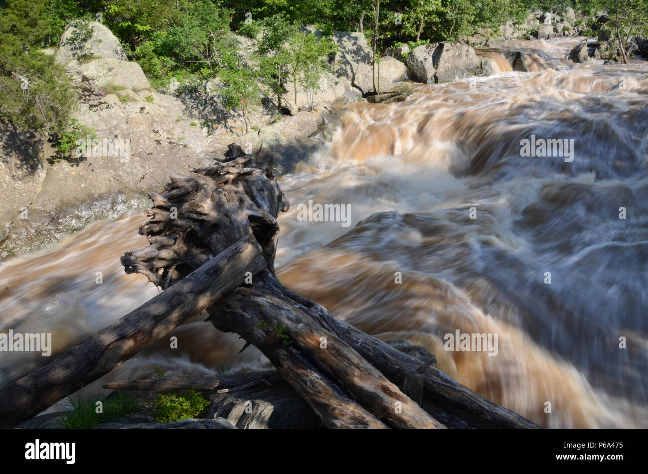 Spring flood water races down the Potomac River at Mather Gorge ...