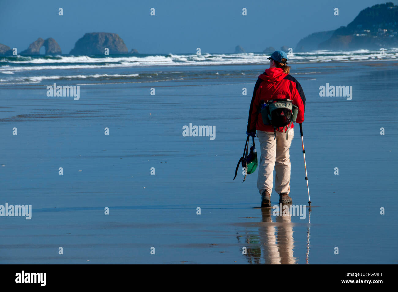 Netarts Spit beach, Cape Lookout State Park, Oregon Stock Photo - Alamy
